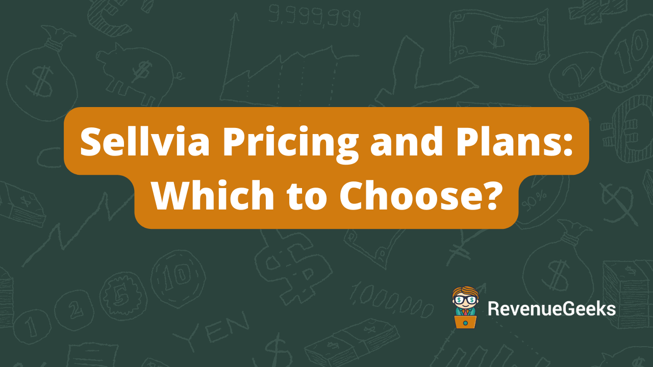 Sellvia Review 2026: Is It the Right Choice for You?
